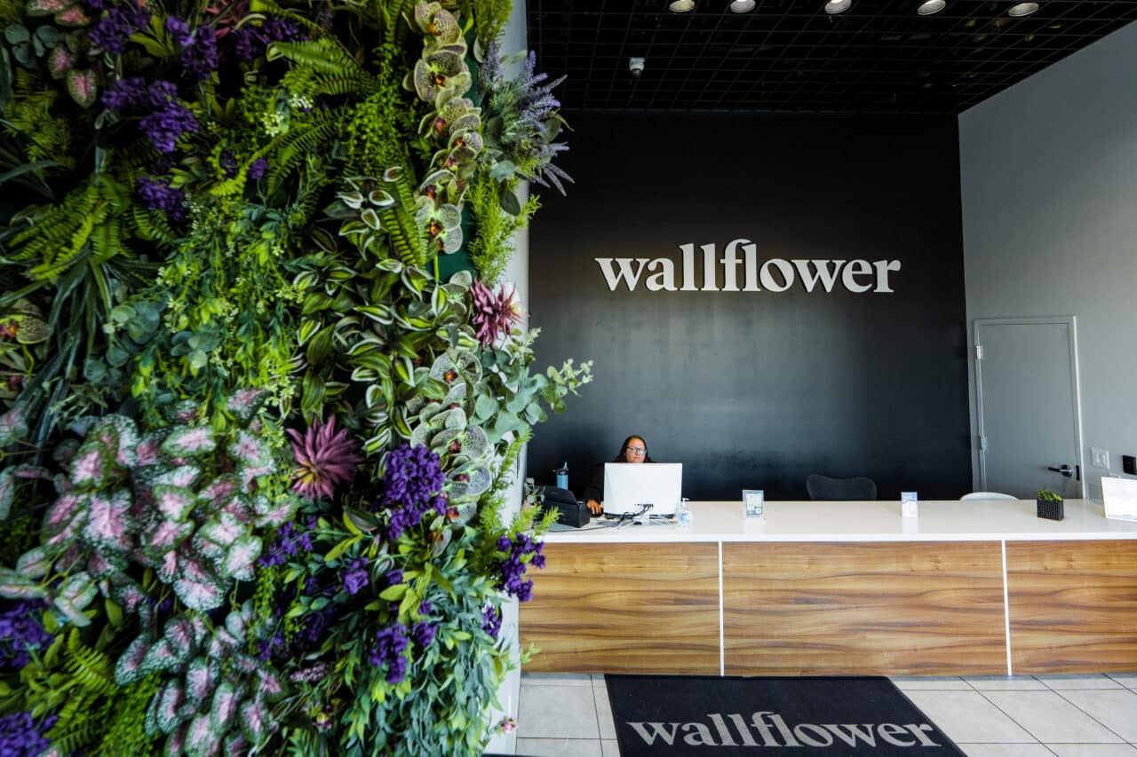 Wallflower Cannabis House Dispensary Store Las Vegas