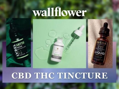 Guide to CBD and THC Tincture: What Are They and How Do They Work?