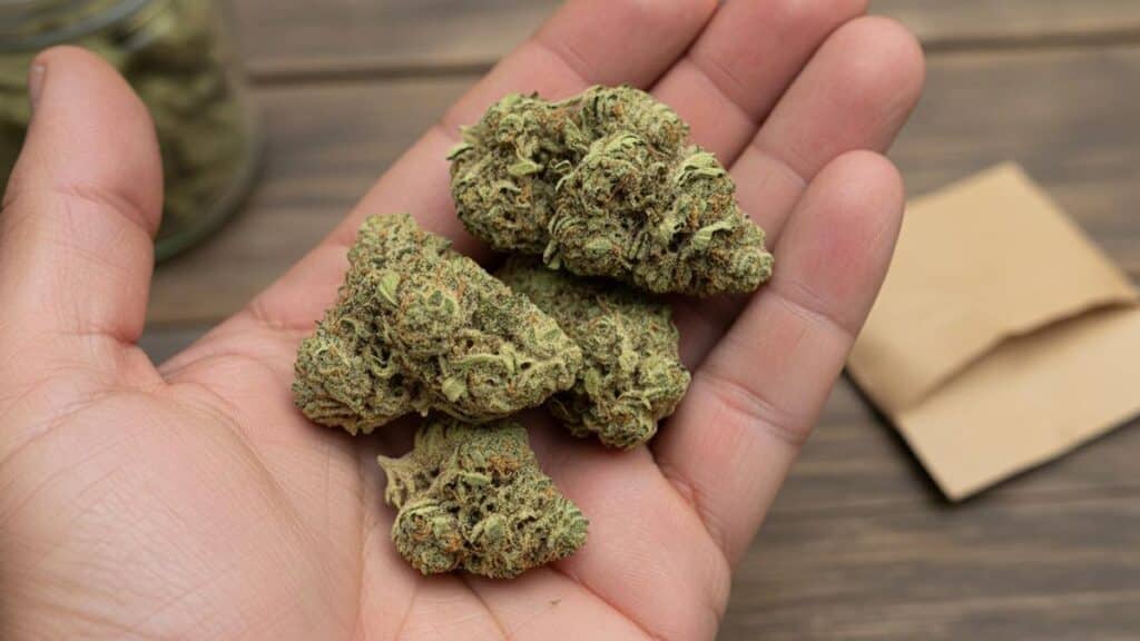 How Many Grams in a Quarter: Your Ultimate Cannabis Weight Guide ...
